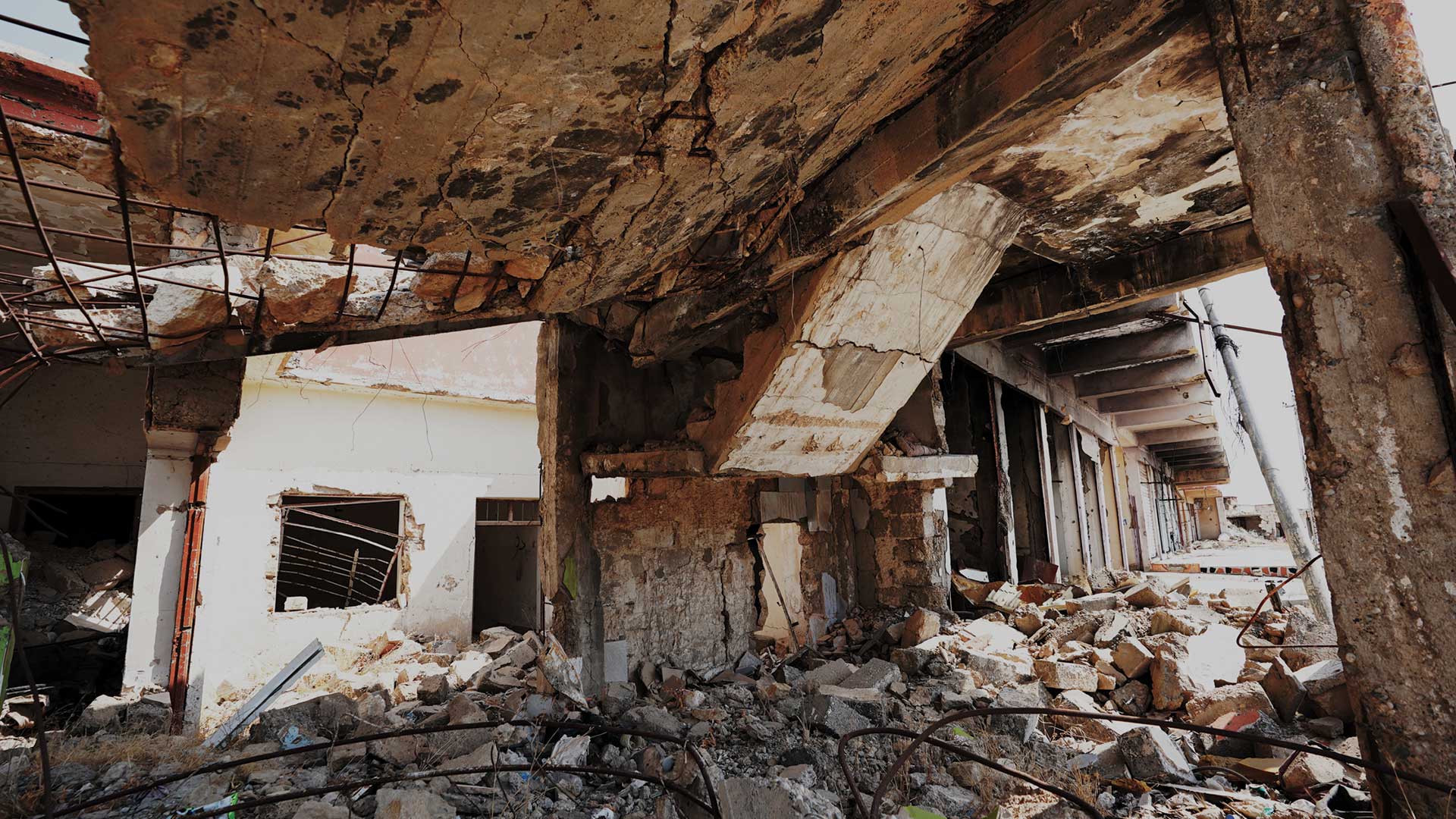 Testimonials - Journalism Photography - IFPO